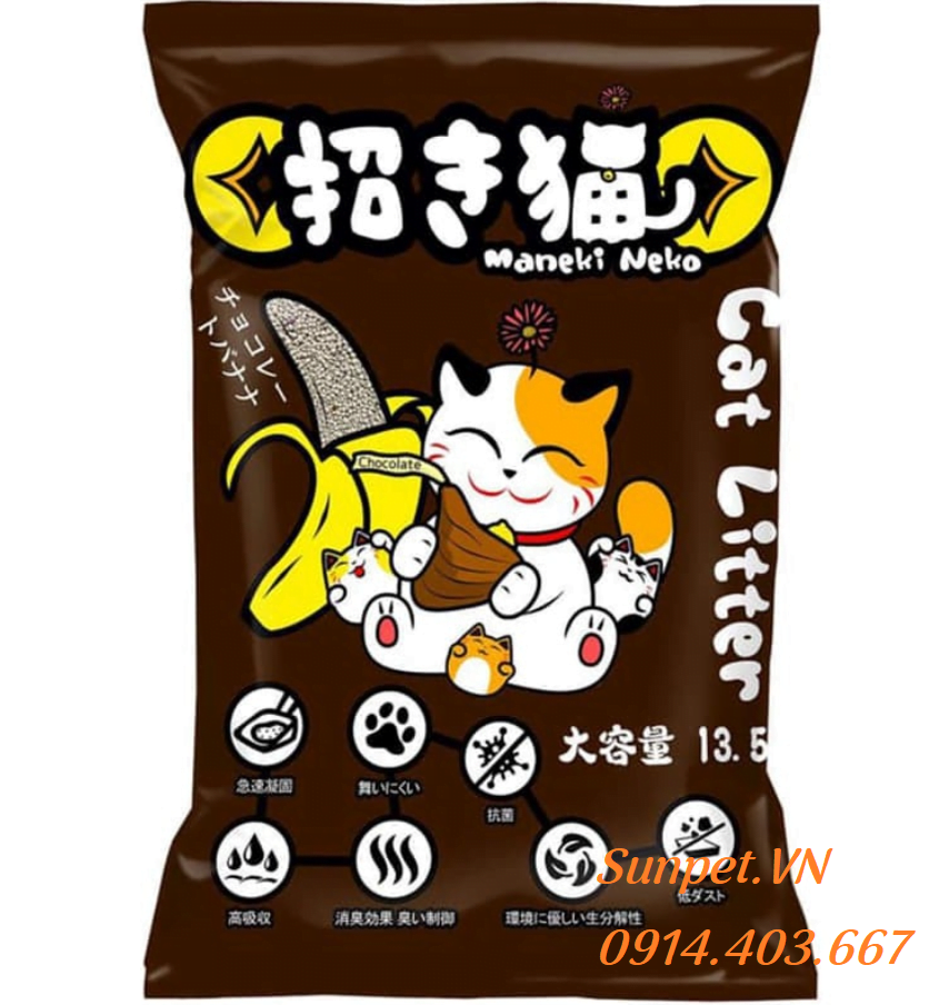 Hướng dẫn chọn cát mèo phù hợp, 6 cách chọn cát vệ sinh cho mèo